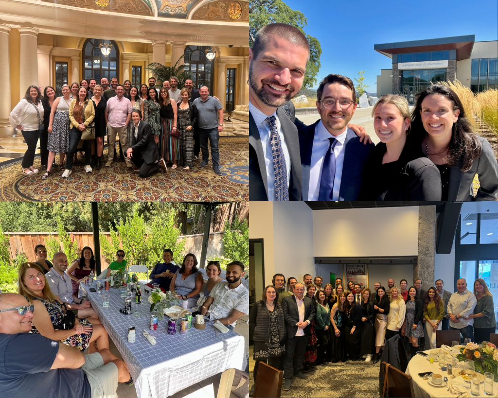 Lewis & Llewellyn’s Year in Review – Lewis & Llewellyn